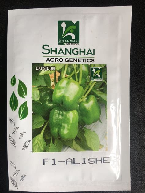 Green Capsicum F1 Hybrid Seeds High Germination Seeds At Best Price