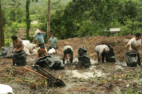 Pérdidas En Cultivos Superan Los S 25 Millones A Causa De Las Lluvias