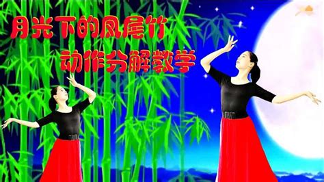 《月光下的凤尾竹》优美中三舞动作分解教学，喜欢的学起来舞蹈广场舞好看视频