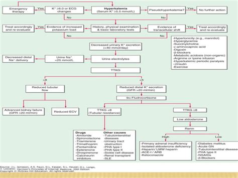 Diagnosis And Management Of Hyperkalemia Pptx