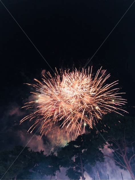 폭죽 밤하늘 축제 불꽃 하늘 사진이미지일러스트캘리그라피 공화작가