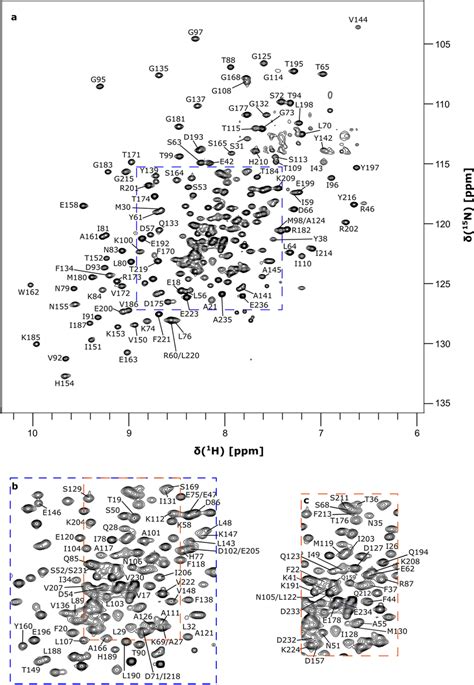 Backbone Resonances Assignment Of Hsp90 Ntd Bound To A Long Residence Download Scientific