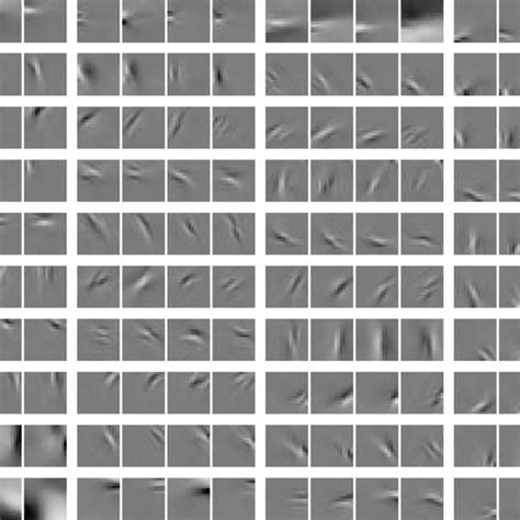 Typical Classical Receptive Fields Of Neurons Early In The Visual