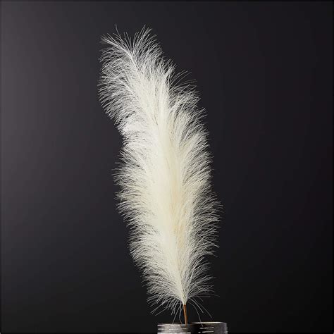 Faux Pampas Grass Ivory Stem 39 Reviews Cb2