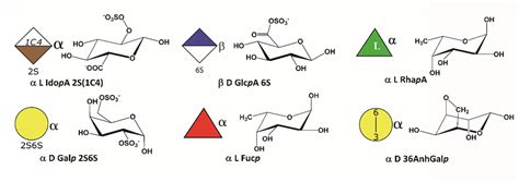 Polys Glycan Builder An Online Application For Intuitive Construction