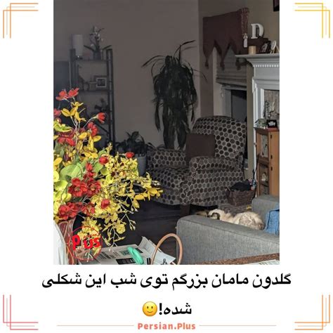 Persianplusinstagram On Pinno چیزای عجیبی که آدما دیدن🙂
