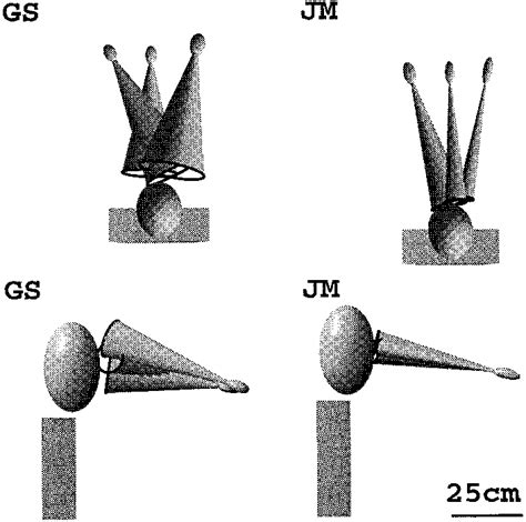 Variable Error Orientation For Pointing Trials With A Long 50 21