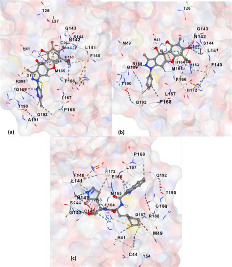 通过虚拟筛选方法鉴定松萝酸的吡唑衍生物作为 Sars Cov 2 主要蛋白酶的新型抑制剂molecular Biotechnology