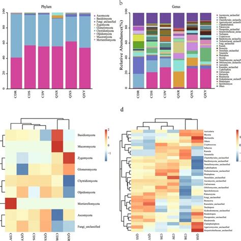 pearson correlation analysis between diversity of endophytic fungi and
