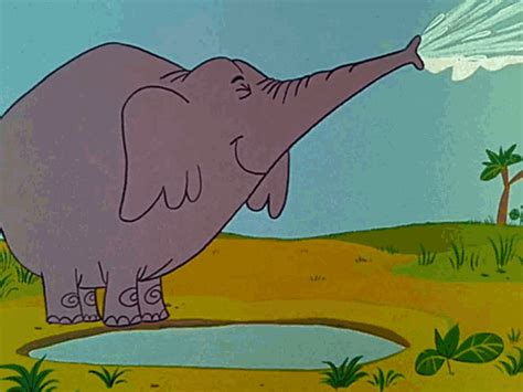 Elephant Trunk Spraying Water  Elephant Trunk Spraying Water Pink