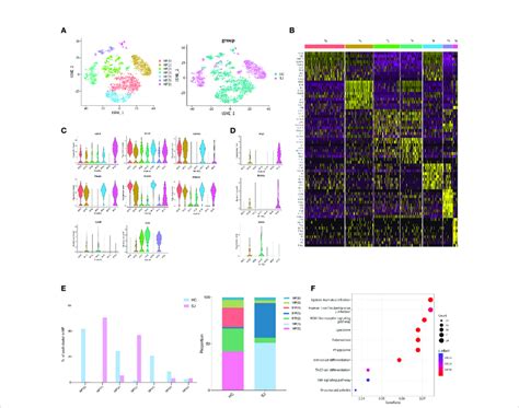M2 Like Polarization Of Macrophages In Fibrotic Liver Of Download