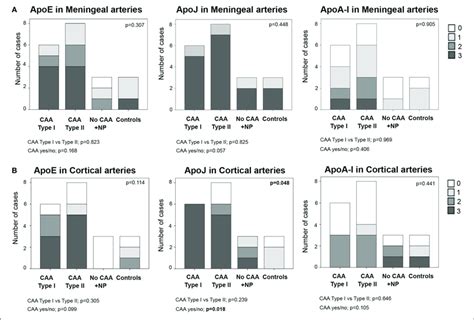 Distributions Of Apoe Apoj And Apoa I In Meningeal A And Cortical Download Scientific