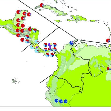Distribution Of Chloroplast Genetic Diversity In B Alicastrum