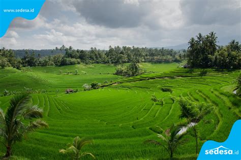 Pembahasan Lengkap Prioritas Dana Desa 2021 Berdasarkan SDGs Desa
