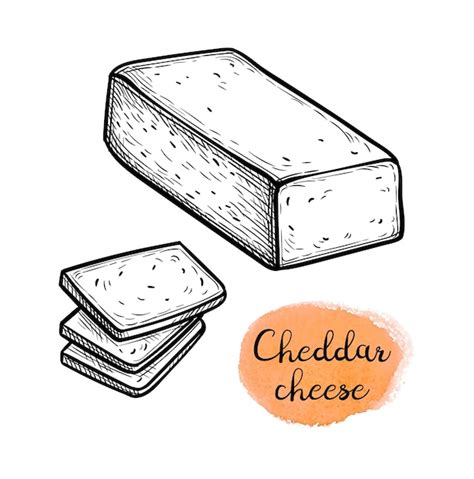 Premium Vector Sliced Cheddar Cheese