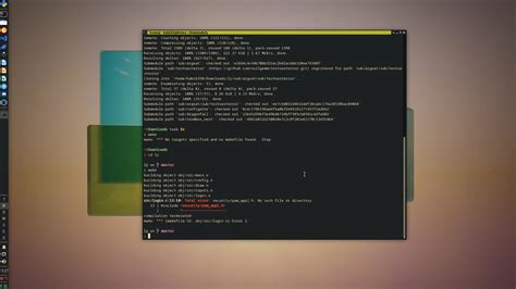 Was Trying To Install Ly Display Manager After Running The Make