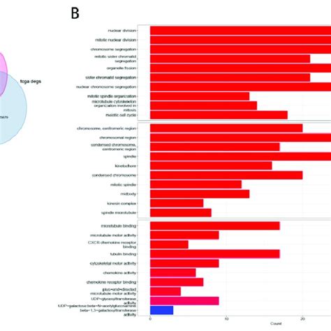 Go Analysis Results Of Common Degs In The Three Cohorts A Venn Download Scientific Diagram