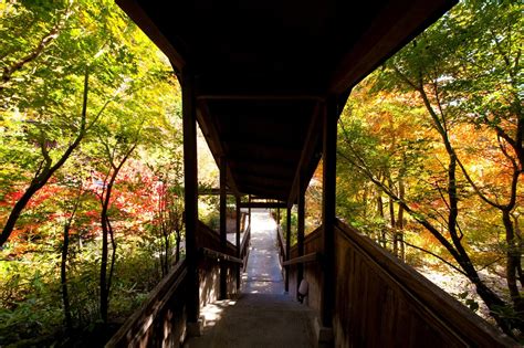 ゆふいん月燈庵の写真（画像） ホテル・旅館の宿泊予約はrelux（リラックス）