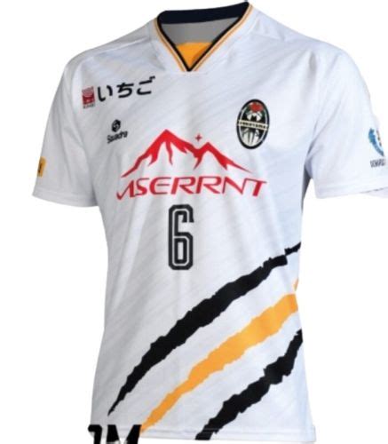 Fukuyama City Fc Kit History Football Kit Archive