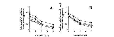 Rats Were Fed Epa Dha • Oleic And Palmitic • • Acids