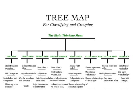 Thinking Maps Tree Map Thinking Map