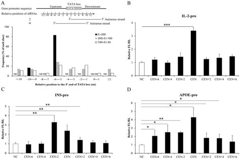 Sirnas Targeting The Center Of Tata Box Motif Upregulate Gene Promoter