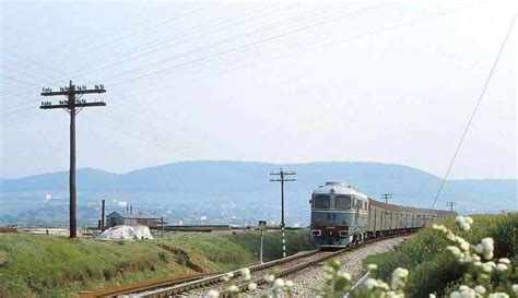 Dramă în gara Babadag O femeie a fost lovită de tren Ordinea RO