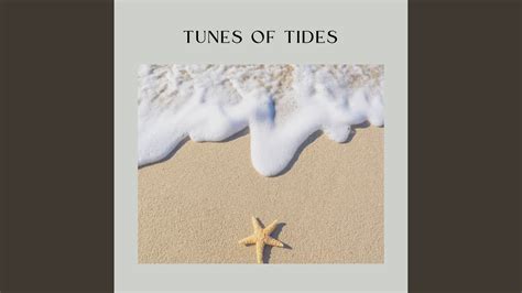 Beautiful Shorelines YouTube