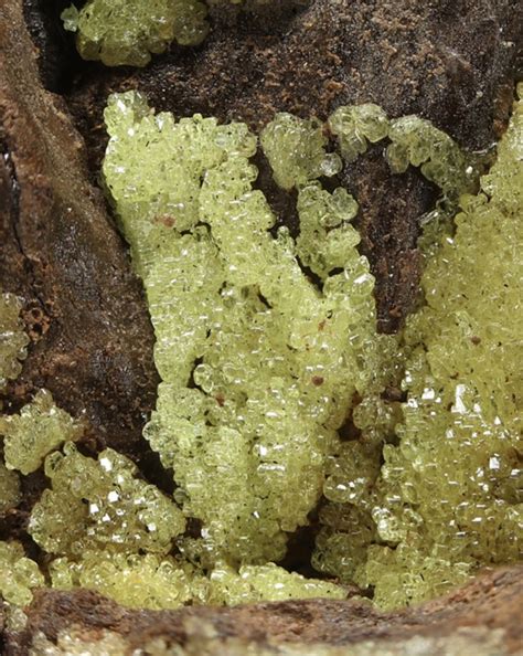 Kieserite Encyclopedia