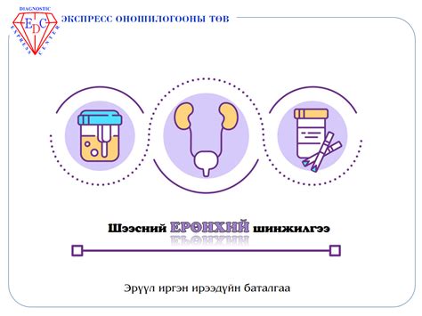 Шээ Express Diagnostic Center Экспресс Оношилгооны төв