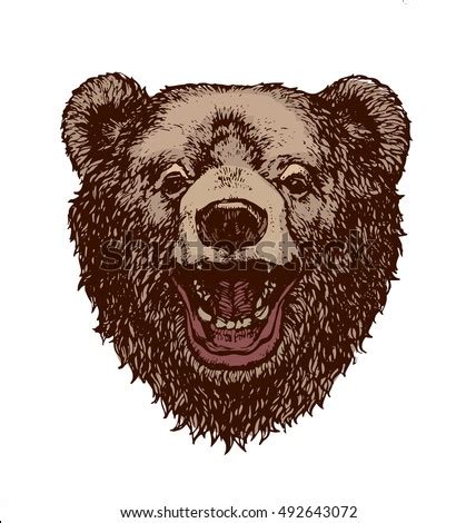 Grizzly Bear Mouth Open Stockbilder Und Bilder Und Vektorgrafiken Ohne