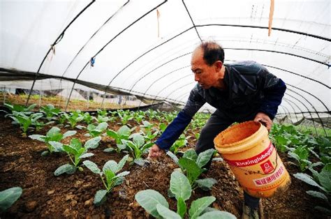 调整产业促农民增收