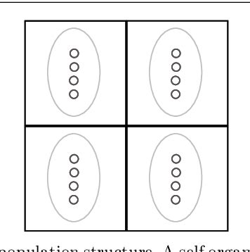 Self Organizing Classifiers First Steps In Structured Evolutionary