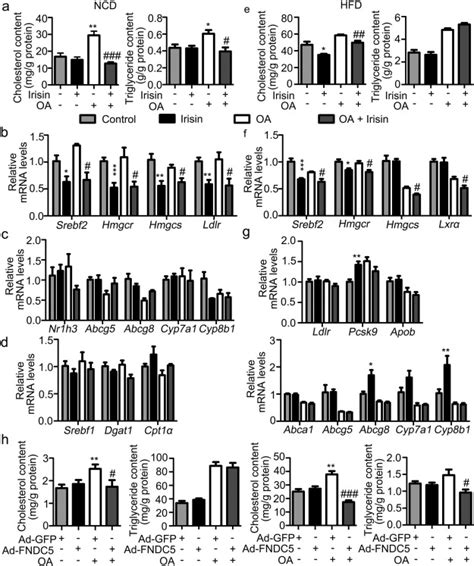 Direct Effects Of Irisin On Cholesterol Synthesis In Cultured Primary