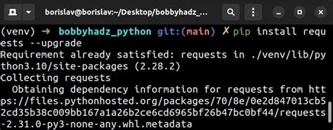 Could Not Find A Version That Satisfies The Requirement X Bobbyhadz