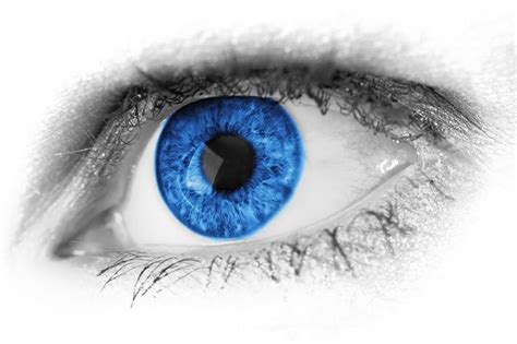 Why Visual Perception Is A Decision Process Neuroscience News