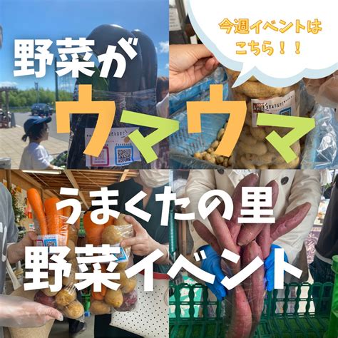 道の駅木更津 うまくたの里 イベントのご参加ありがとうございました こんばんは🌙 道の駅木更津うまくたの里です🥜 先週もイベントへのご参加