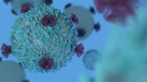 Engineering Natural Killer Cells For Cancer Immunotherapy Video