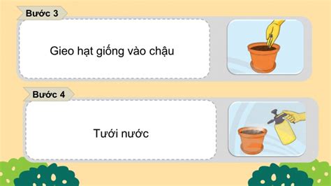 Giáo án điện Tử Công Nghệ 4 Chân Trời Bài 3 Gieo Hạt Và Trồng Cây Hoa