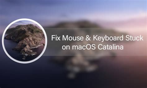 Macos Virtualbox Mouse Control Gasmpublications