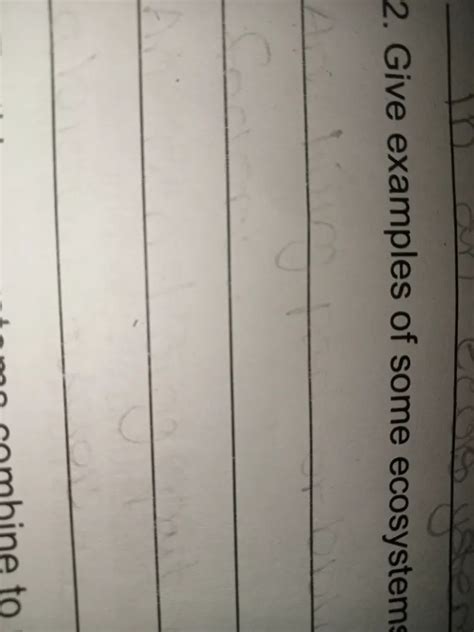 2 Give Examples Of Some Ecosystems StudyX