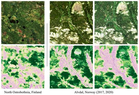ribana roscher on linkedin 🌳🌲 ️ our new paper is out we present a