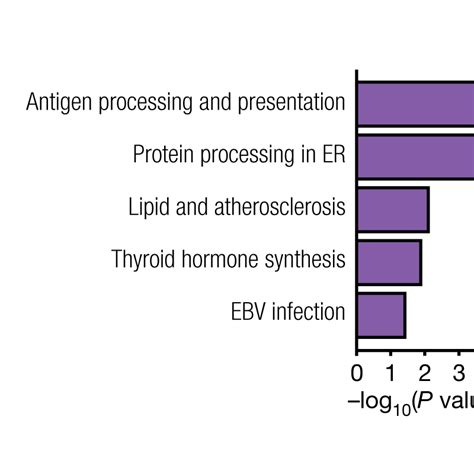 Building And Exporting Figure Panels Nature Research Figure Guide