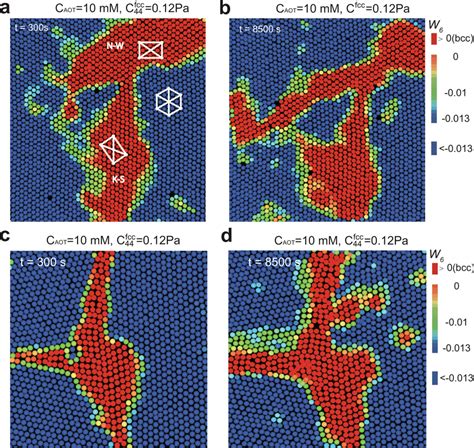 Pre Existing Bcc Nuclei Inside The Fcc Grain And At The Triple Junction