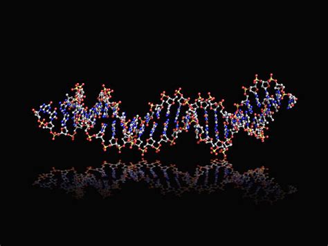 Chemistry Science Japan