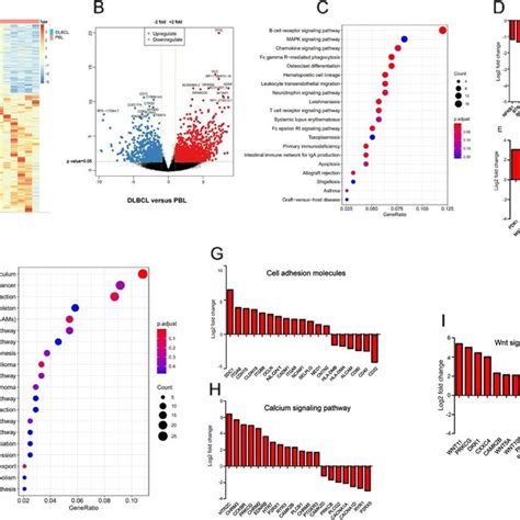 Expression Profiles A Hierarchical Clustering And Heat Map Of Degs