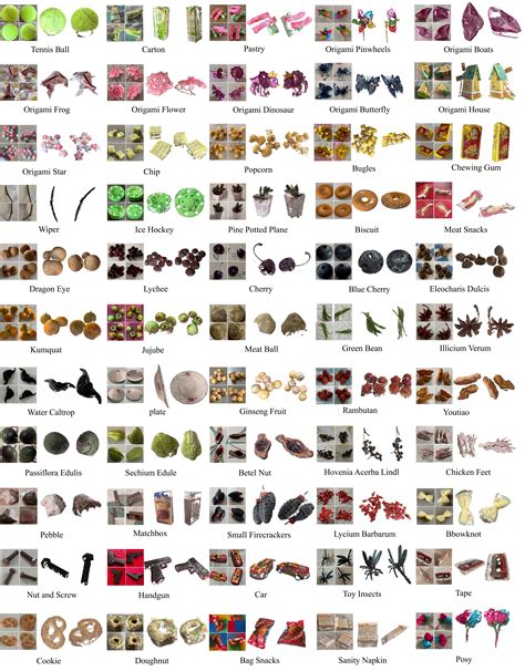 Mvimgnet20 A Larger Scale Dataset Of Multi View Images