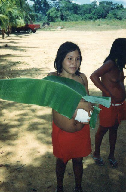 Indianer in Brasilien Hintergrundfakten und Analysen Sex mit Kindern Pädophilie zahlreiche