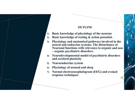 Neurophysiology And Neuroanatomy HumansB PPT