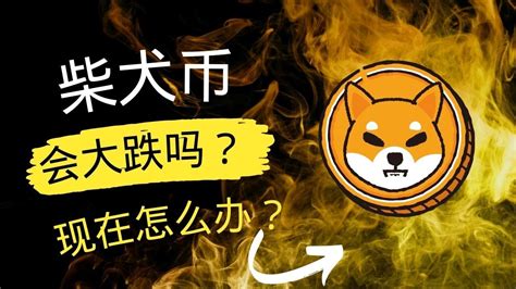 柴犬币 Shib币 比特币最新行情走势分析！柴犬币走势变弱，是否马上砸盘有大回调？我们应该怎么办？ Youtube